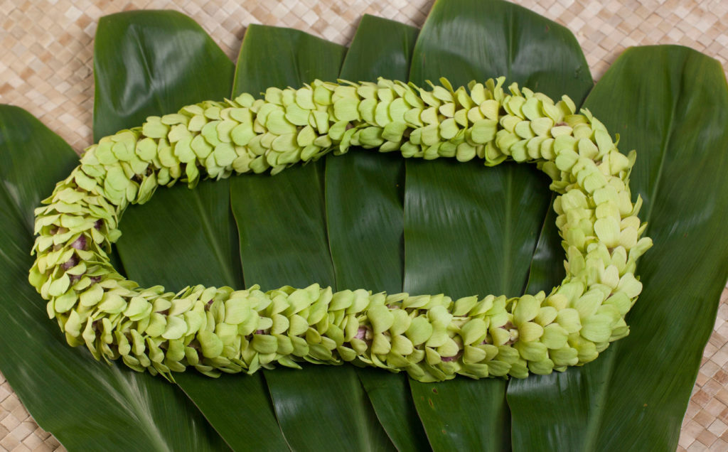 Blog - Shaka Lei