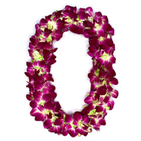 Green Double Orchid Lei - Shaka Lei